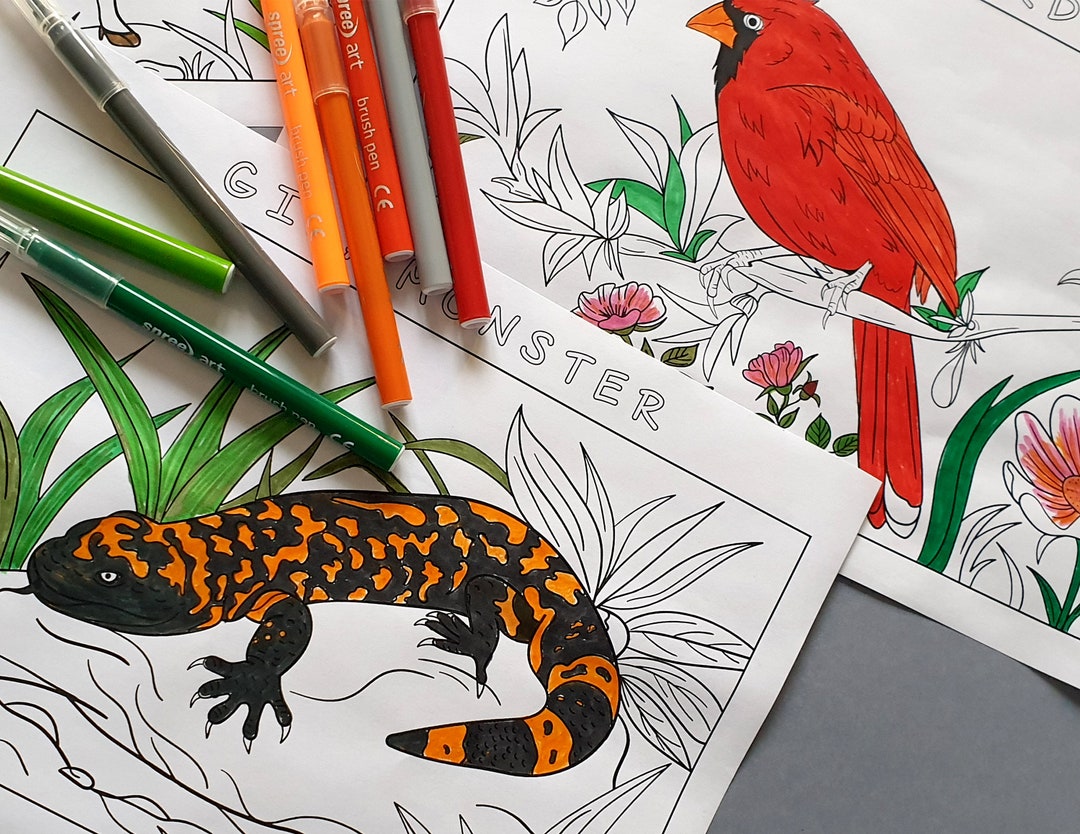 Printable Coloring Book - Animals of North America, 16 Pages ...