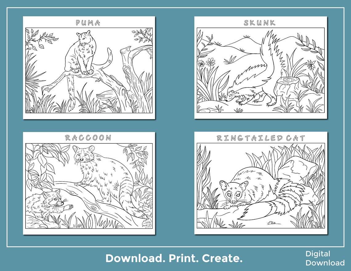 Printable Coloring Book - Animals of North America, 16 Pages ...