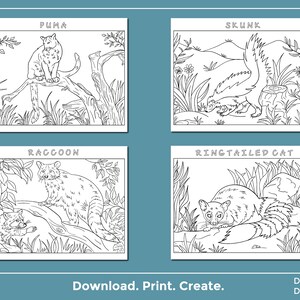 Printable Coloring Book - Animals of North America, 16 Pages ...