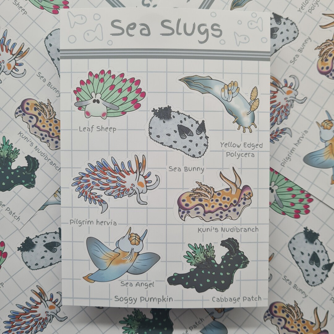 Sea Slugs Sticker Sheet - Etsy