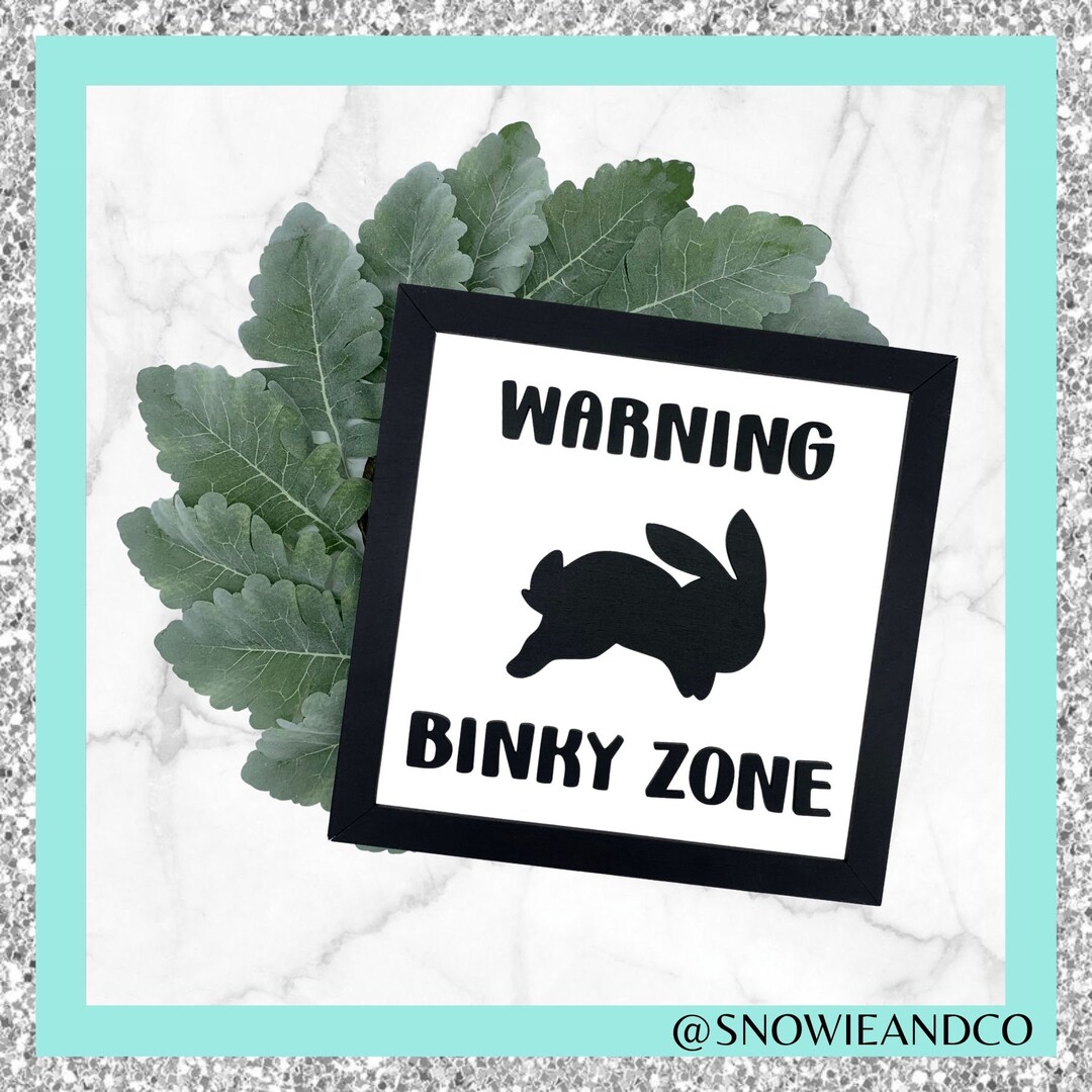 Warning Binky Zone Wood Sign - Etsy