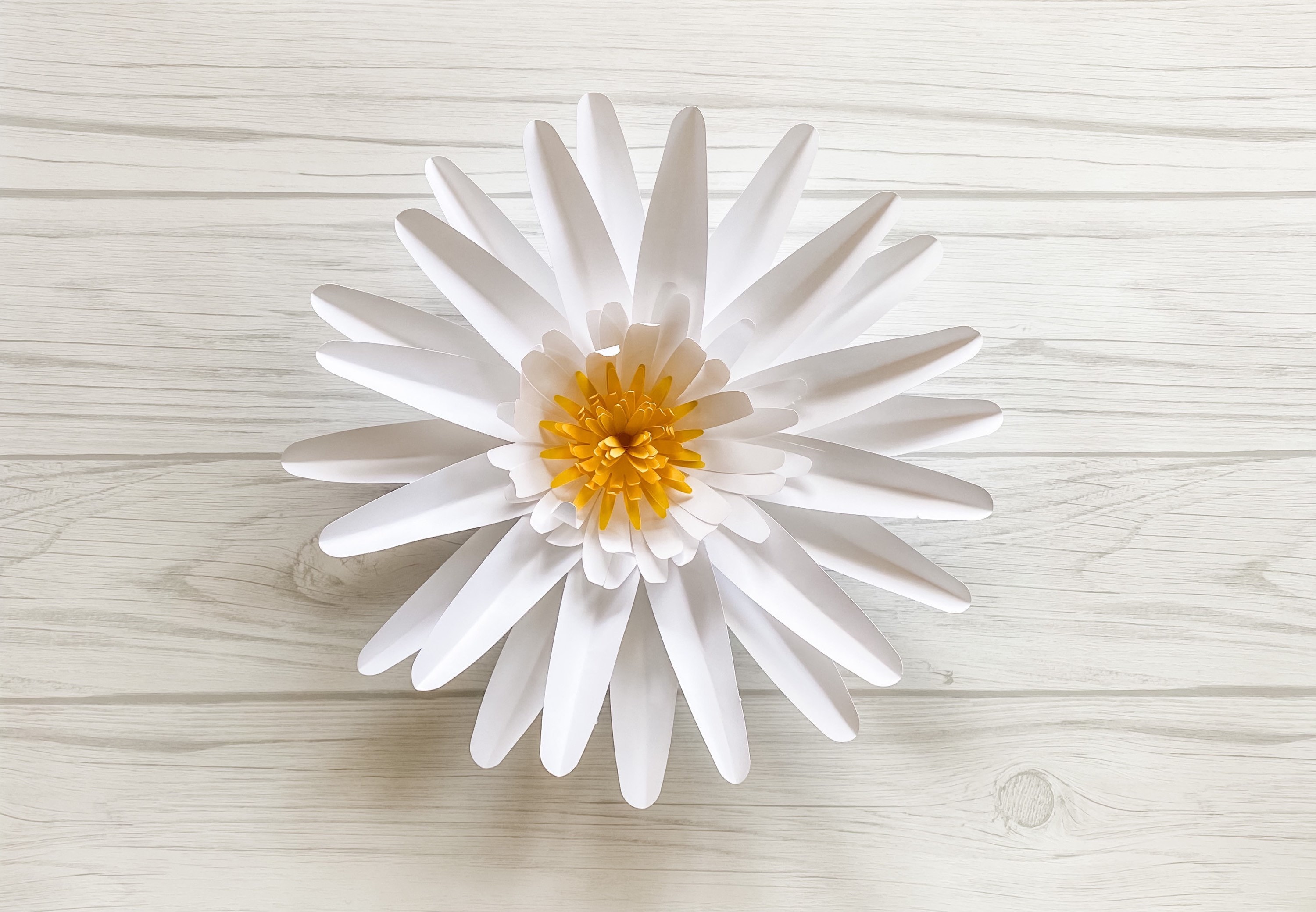 DIY Kit Paper Flowers Set of 8 Small/medium/large/xl Nursery, Backdrop ...