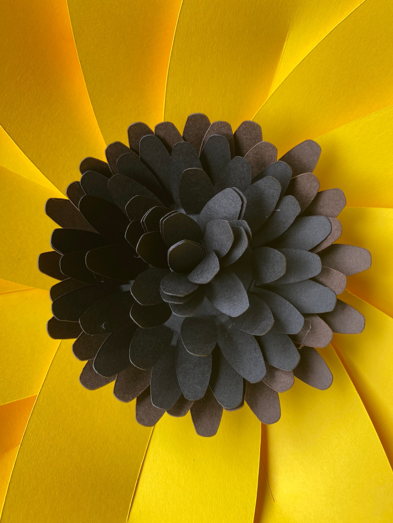 DIY Kit Paper Flowers Set of 8 Small/medium/large/xl | Etsy