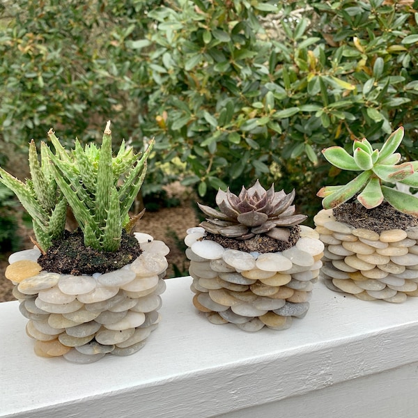 Small Planters - Etsy
