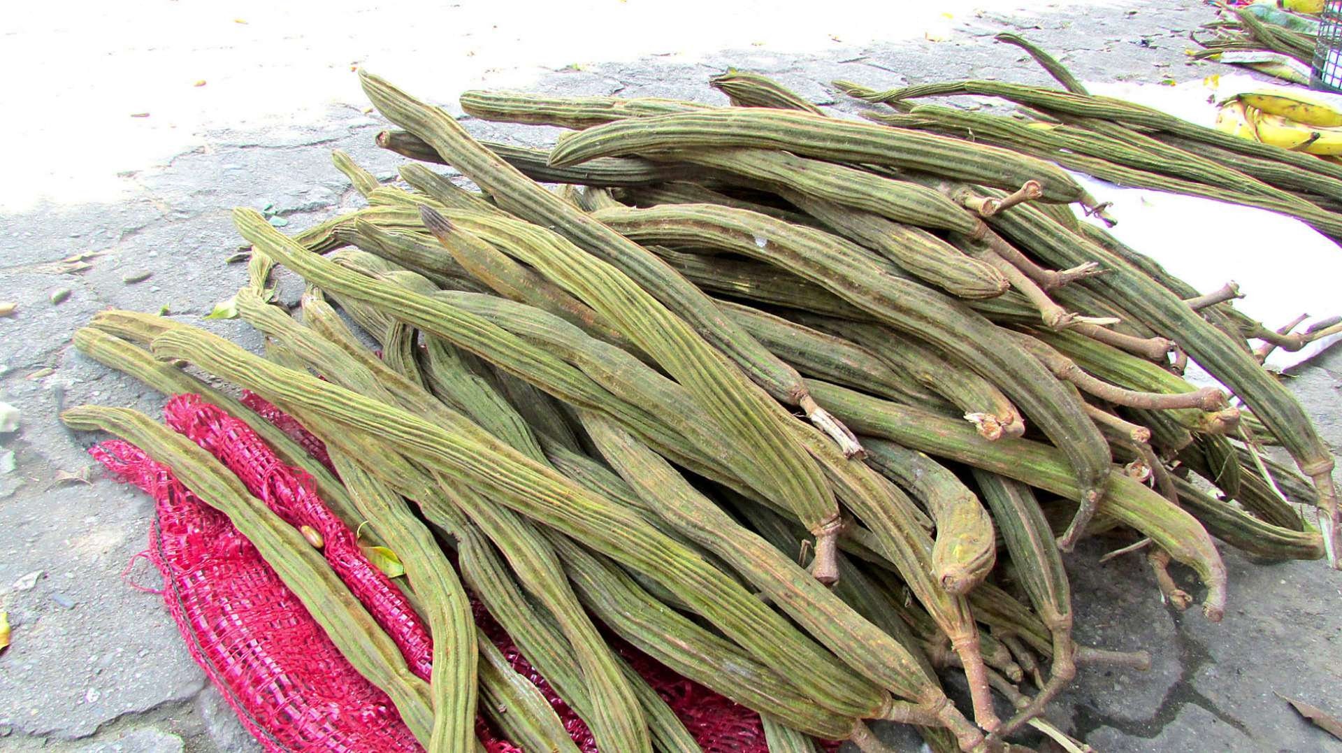 GUABA POWDER for Sale inga Edulis Herbs Powdered LEAVES - Etsy