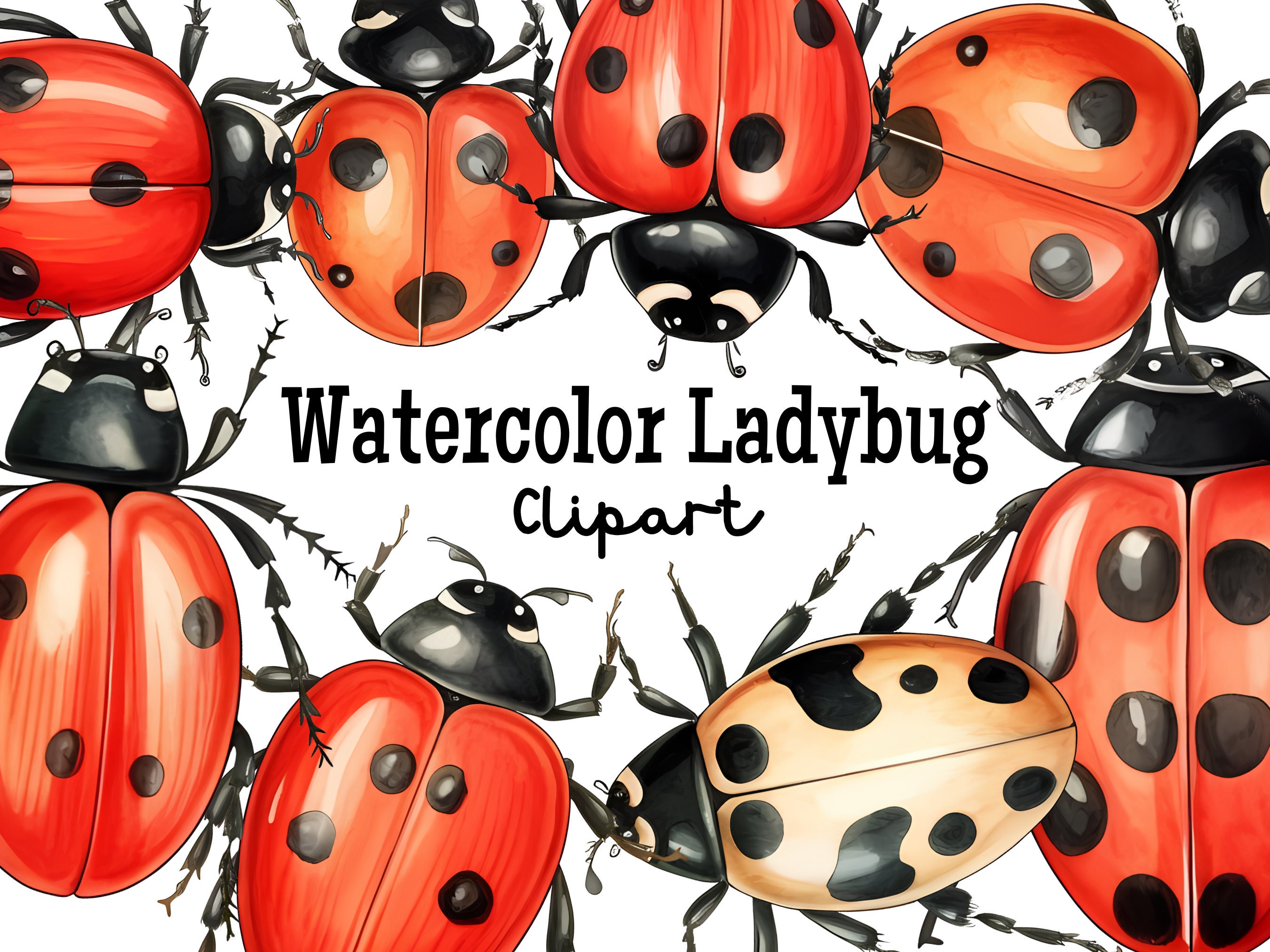 Ladybug Clipart Set PNG | Insect Clip Art Good Luck Gardening Spring ...