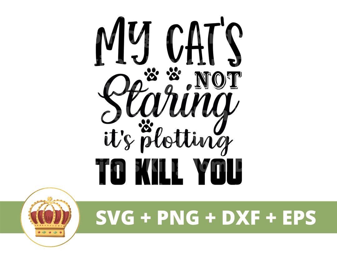 My Cat's Not Staring It's Plotting to Kill You SVG PNG Sassy Quotes ...