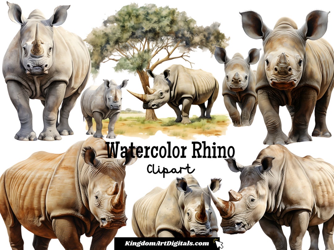 Rhino Clipart Set PNG | Safari Primal Animal Horned Creature African ...