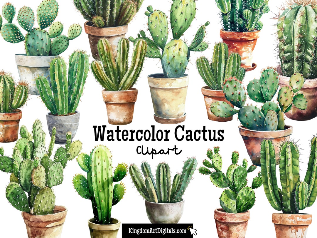 Watercolor Cactus Clipart Set | Digital PNG Bundle Art Cacti Plants ...