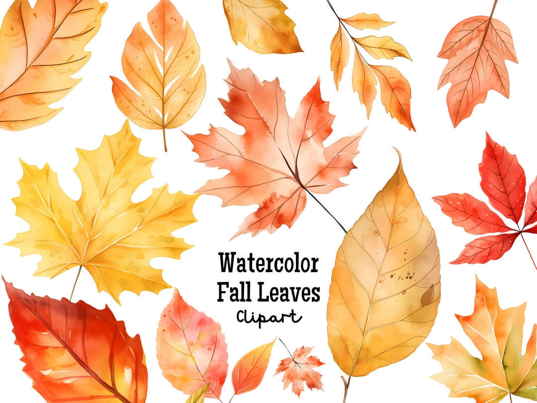 Fall Leaves Watercolor Clipart Set PNG | Autumn Thanksgiving Halloween ...