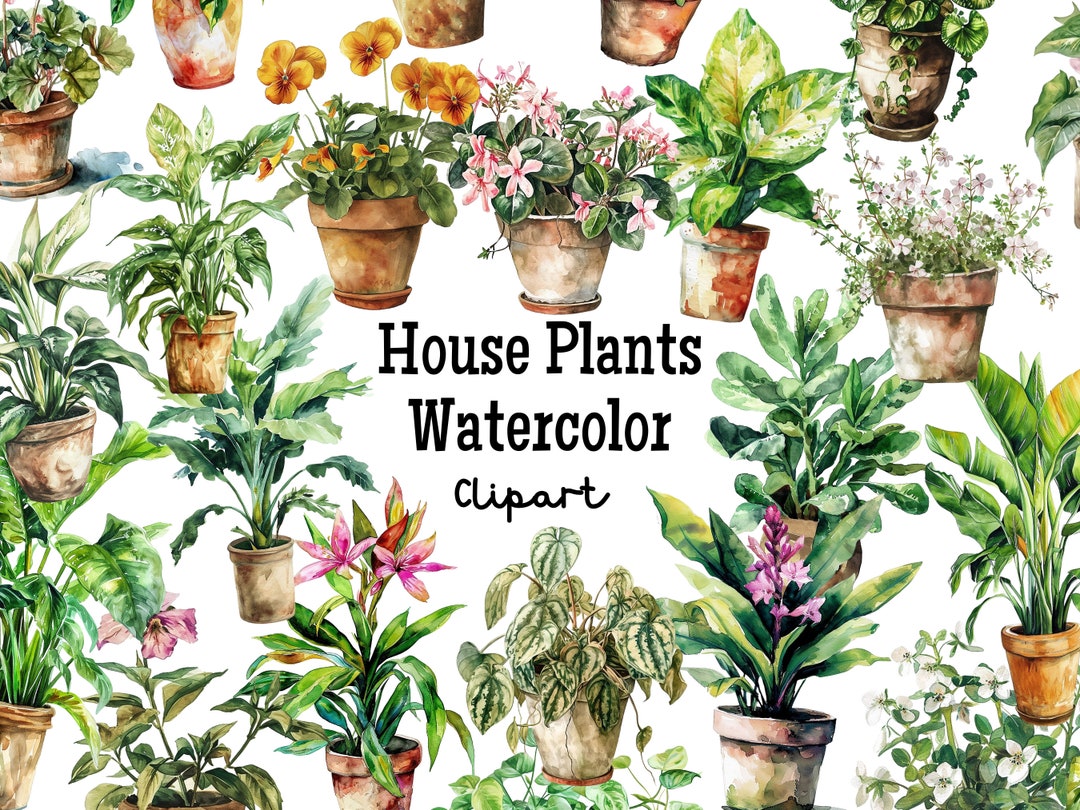 Watercolor House Plants Clipart Set | Flowers Home Plant Gardening ...