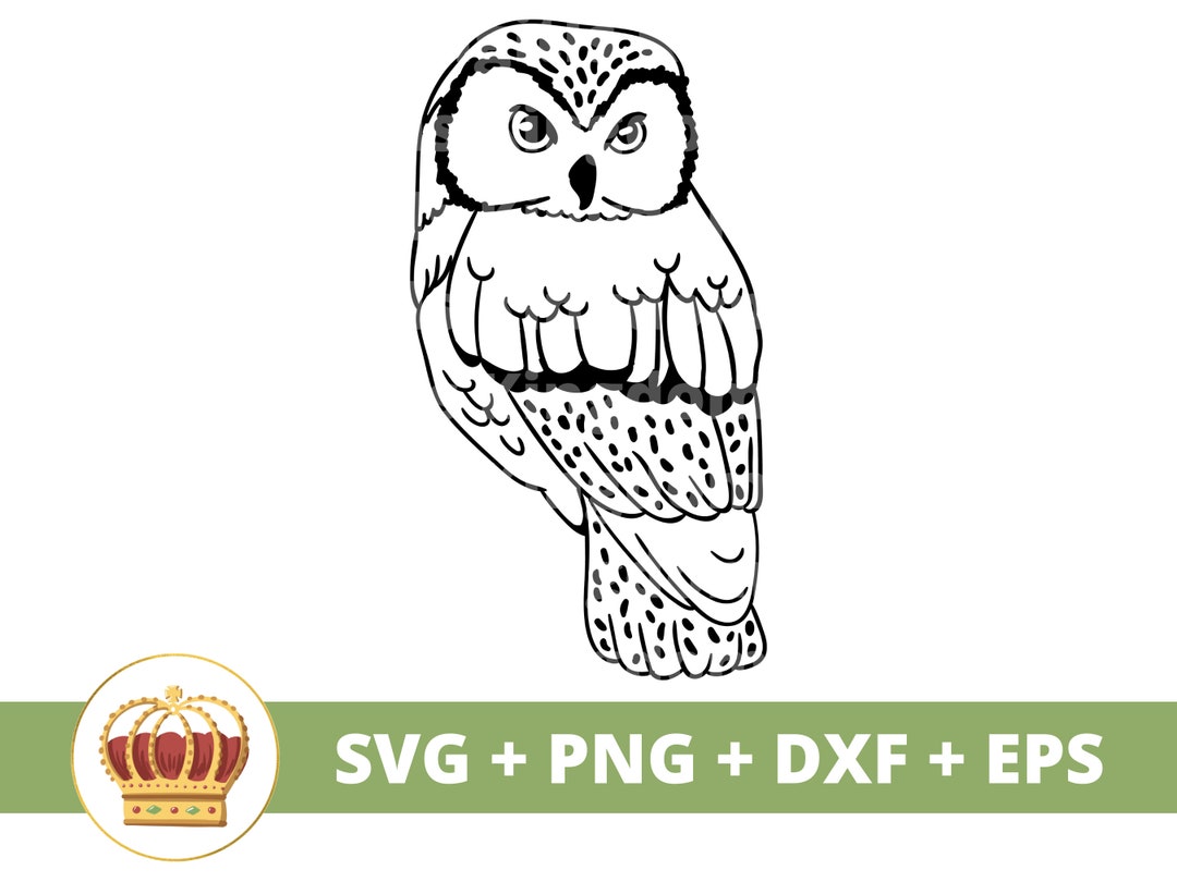 Owl SVG PNG | Cute Bird Baby Owls Face Head Forest Halloween Vector Dxf ...