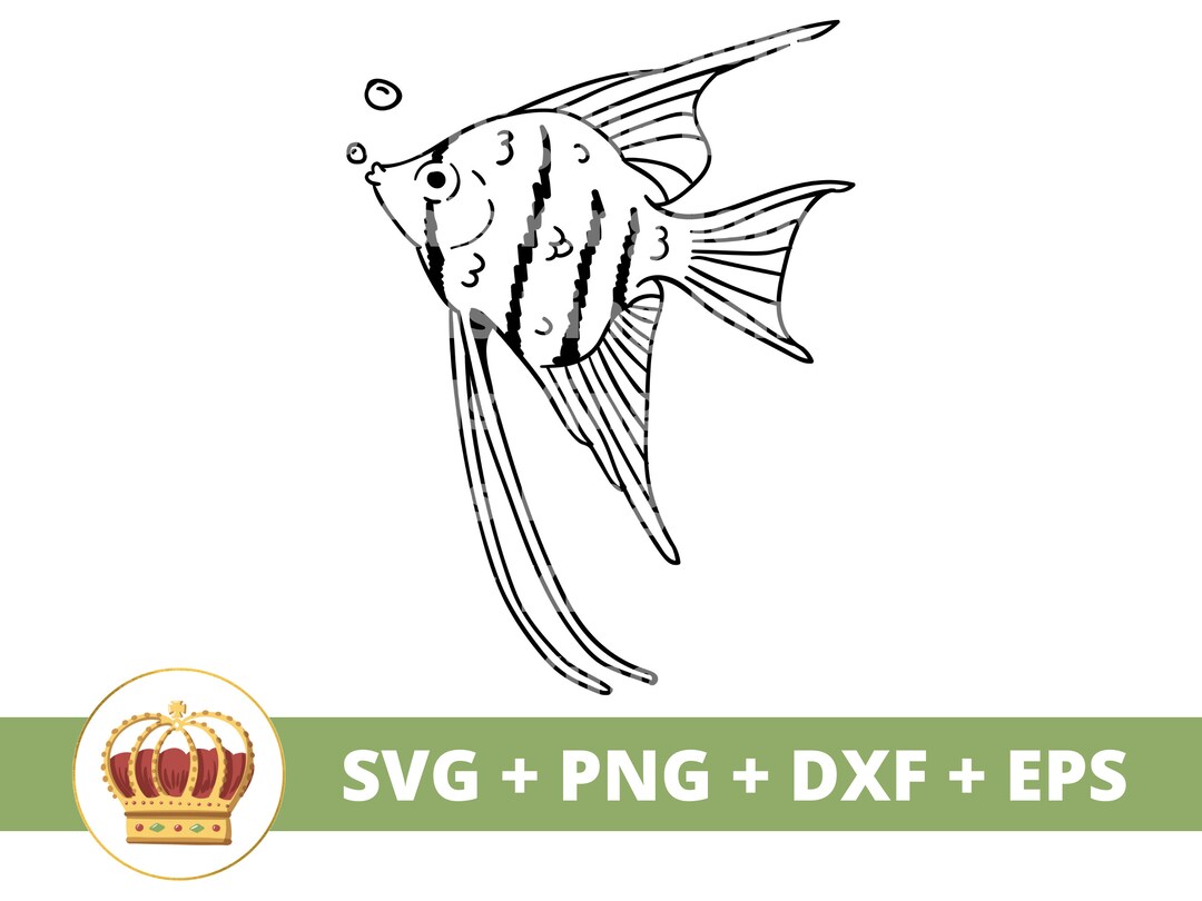 Angel Fish SVG PNG Cute Little Koi Ocean Sea Creature Cartoon Baby ...