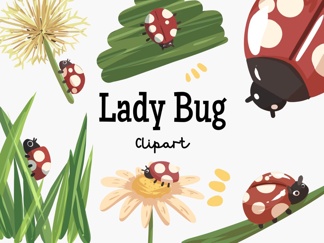 Ladybug Clipart Set PNG | Lady Bug Party Invitations, Birthday Insect ...