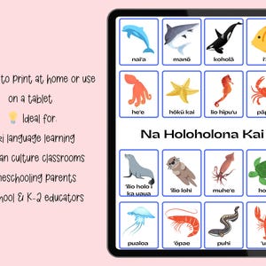 ʻŌlelo Hawaiʻi Sea Creatures Flashcards | Hawaiian Language Printable ...