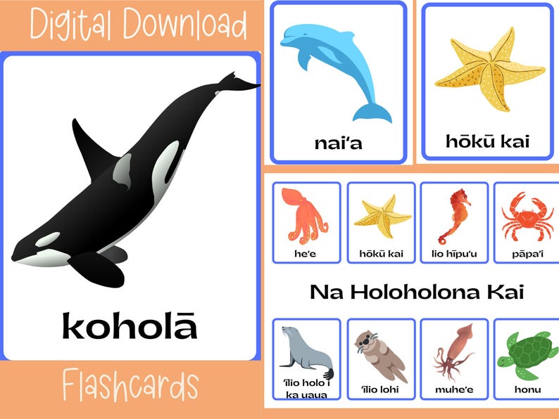 ʻŌlelo Hawaiʻi Sea Creatures Flashcards | Hawaiian Language Printable ...
