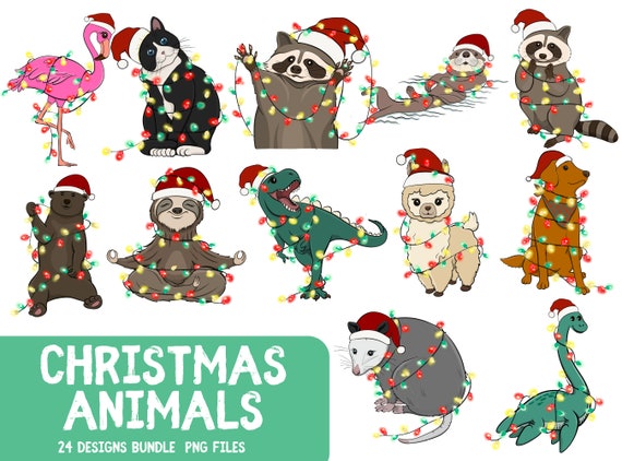 Christmas Cute Animals Funny