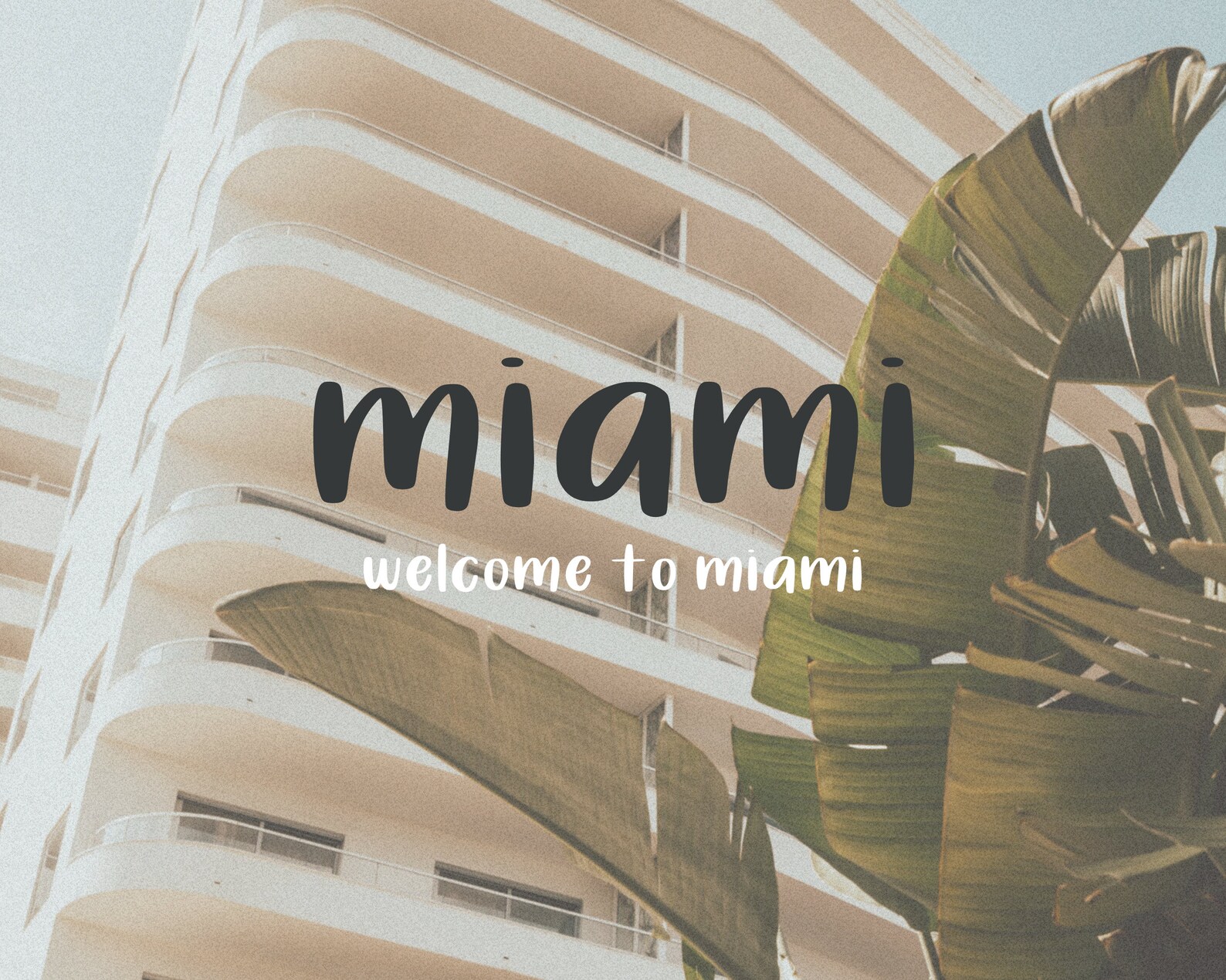 Miami Font Digital Font Download Handwritten Font Font for - Etsy