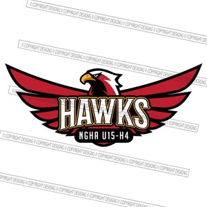 Hawk 3 Mascot School Team Custom - Etsy
