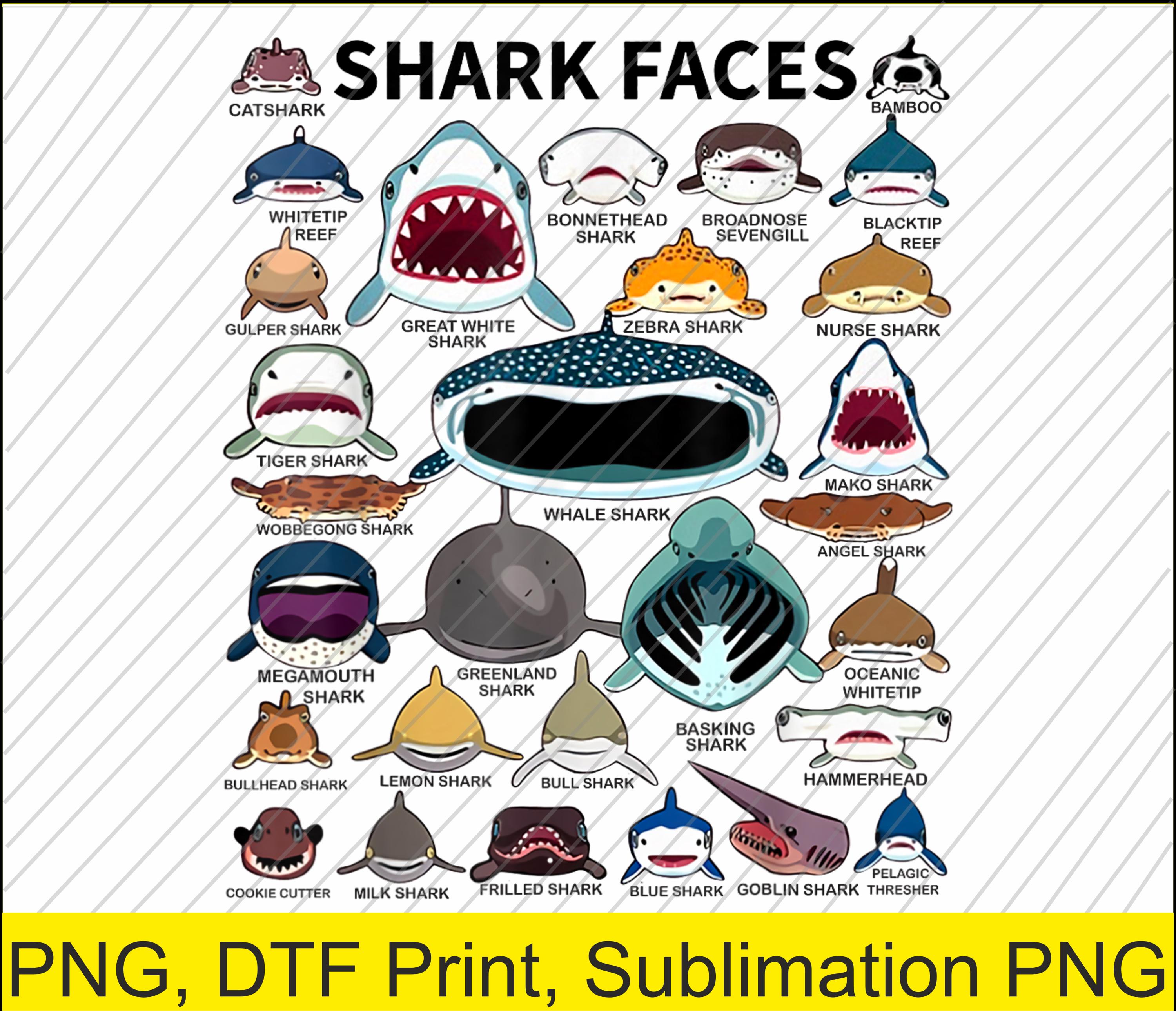 Shark Face Type of Shark Shark Faces of All Kinds PNG | Digital ...