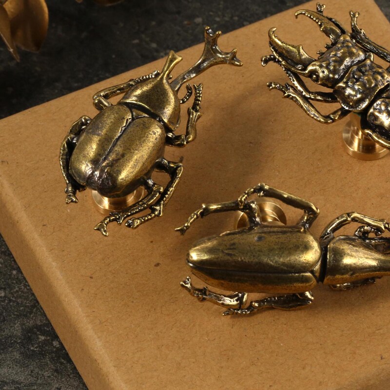 Insect Drawer Knobs - Etsy