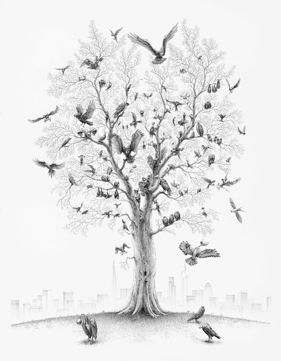 Tree With Birds Cross-hatching Art Print 420x297mm - Etsy