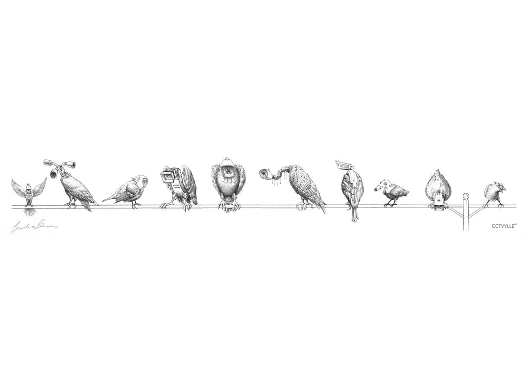 Hybrid Flying Camera Birds - Pencil Drawing Art Print - 420x297mm (16 ...