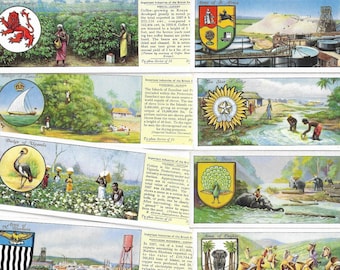 Typhoo Tea Cards - Etsy