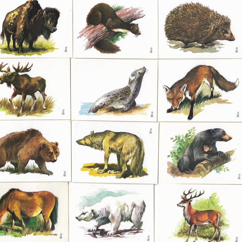 Trading Cards - Etsy