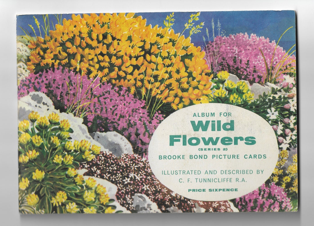 Wild Flowers Series 2 - Brooke Bond Tea Card Album. Complete With All ...