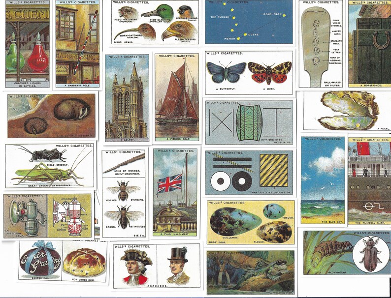 Do You Know Trivia Cards series 1. Modern Reprint of Original 1922 Full ...