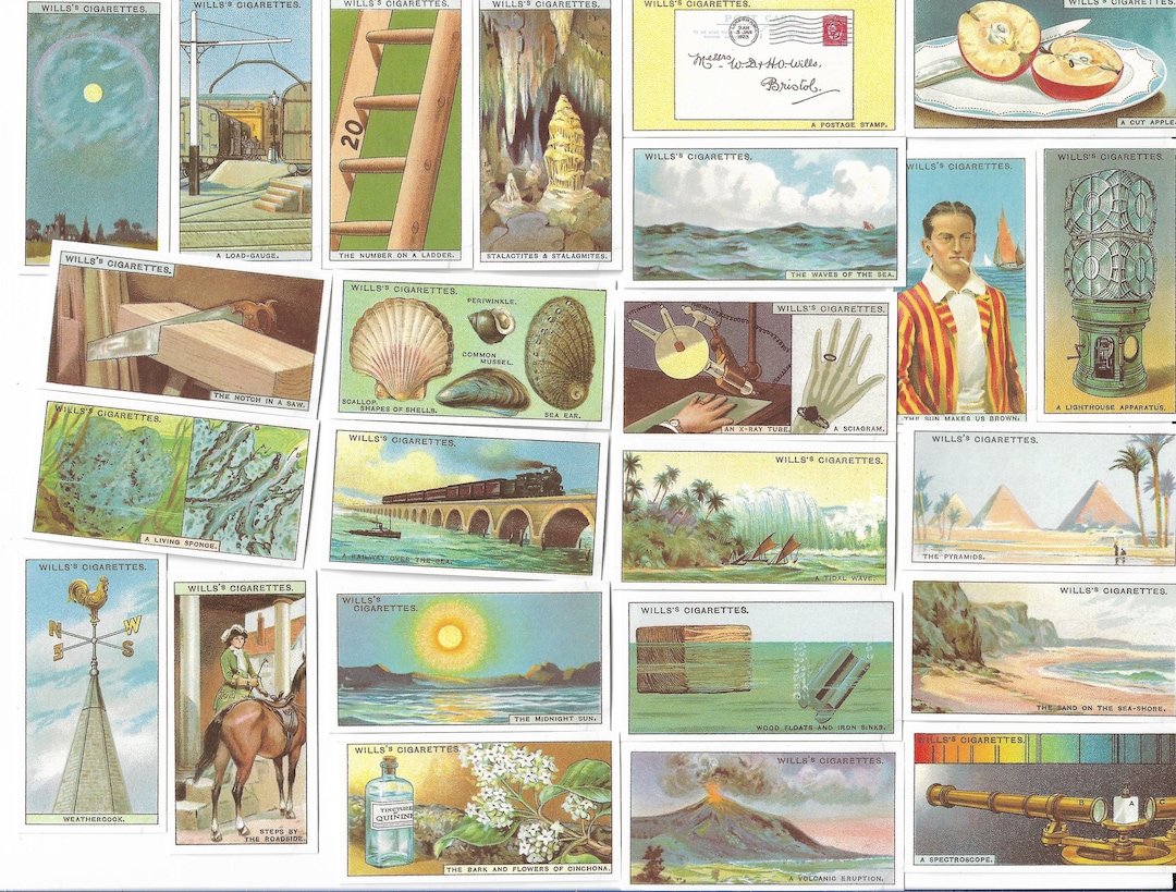 Do You Know? Trivia Cards (series 2). Modern Reprint of Original 1924 ...