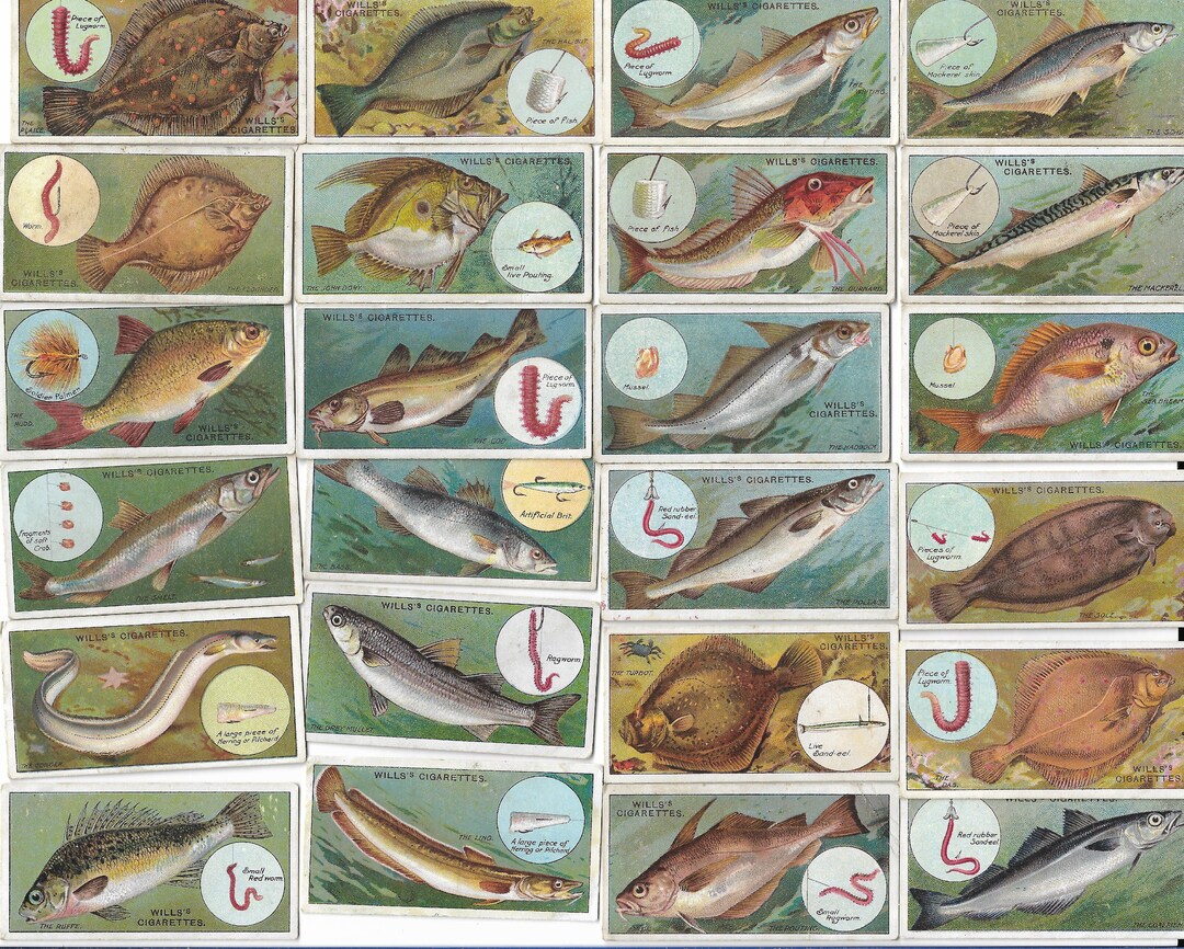 50 Vintage Cigarette Cards - Fish & Bait. 1910. Full Set. Wills ...