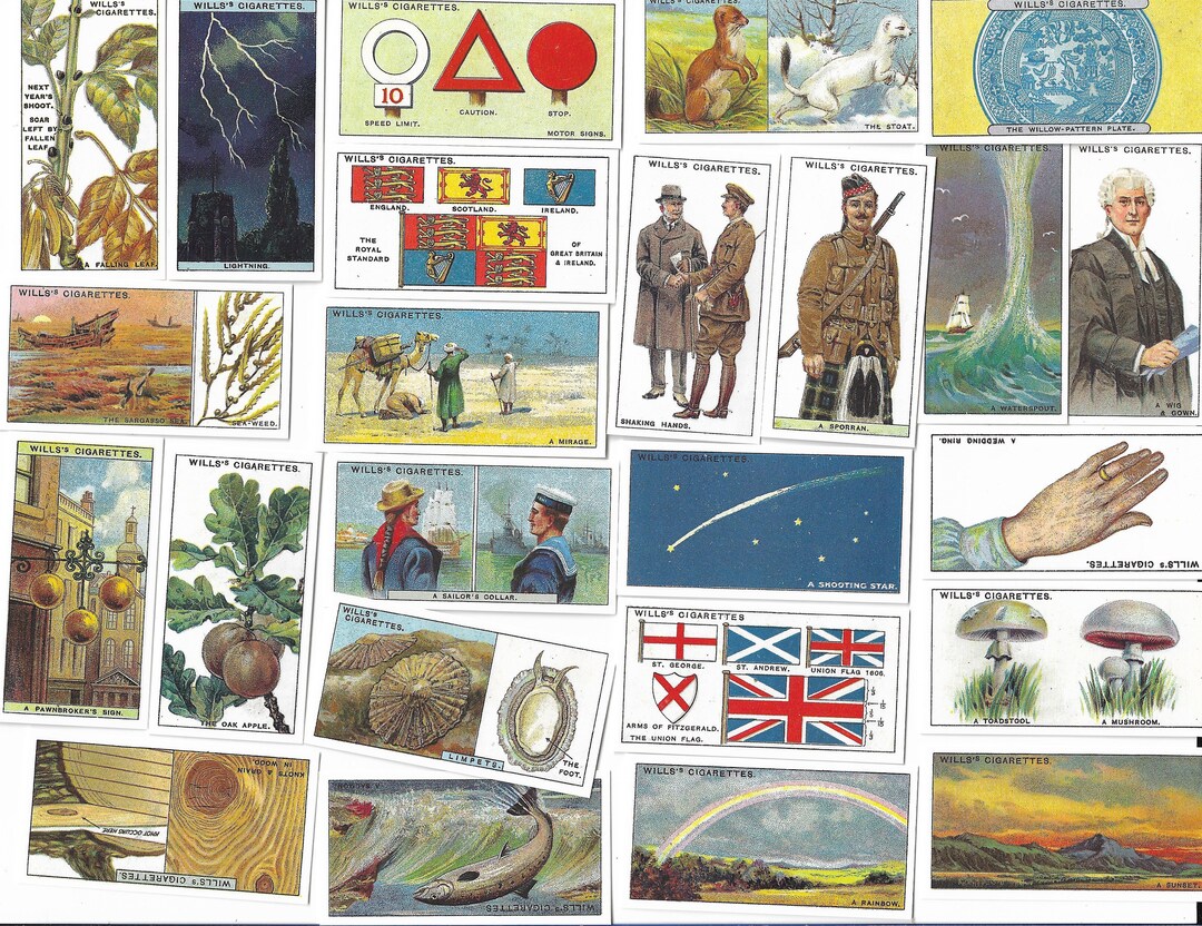 Do You Know Trivia Cards series 1. Modern Reprint of Original 1922 Full ...