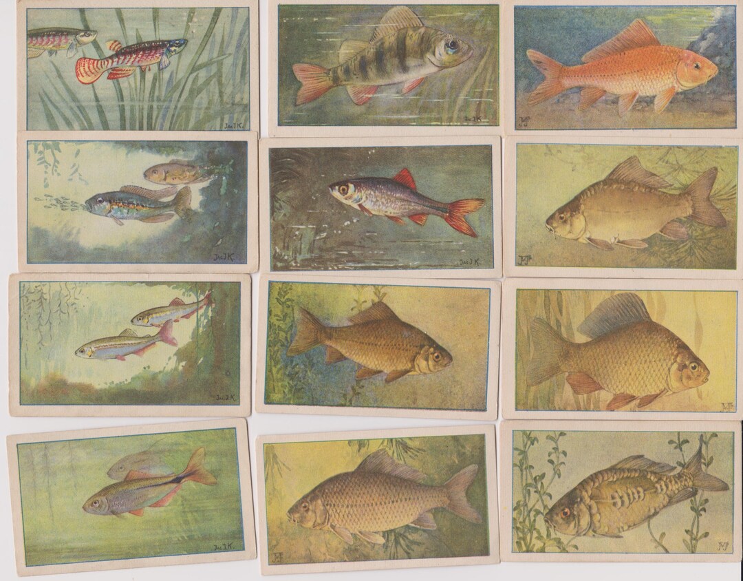 My Aquarium (fish, Fishing, Flowers) - 112 Trade Cards Issued by ...