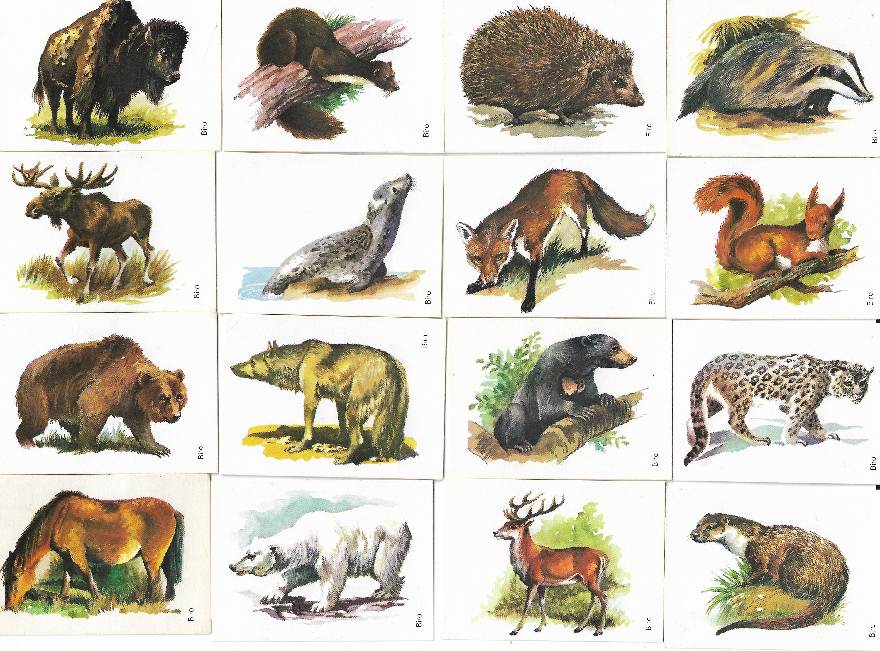 Jeremy's Animal Kingdom - Complete Set of 16 Trade Cards Issued by ...