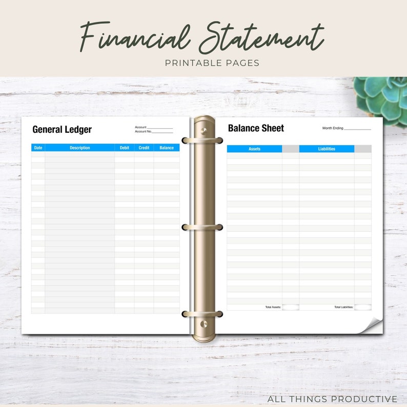 Business Planner, Financial Statement, Balance Sheet, General Ledger ...