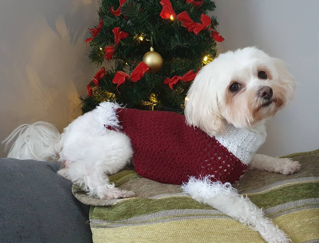 Christmas Dog Sweater Crochet Pattern | Easy Beginner | Small Festive ...