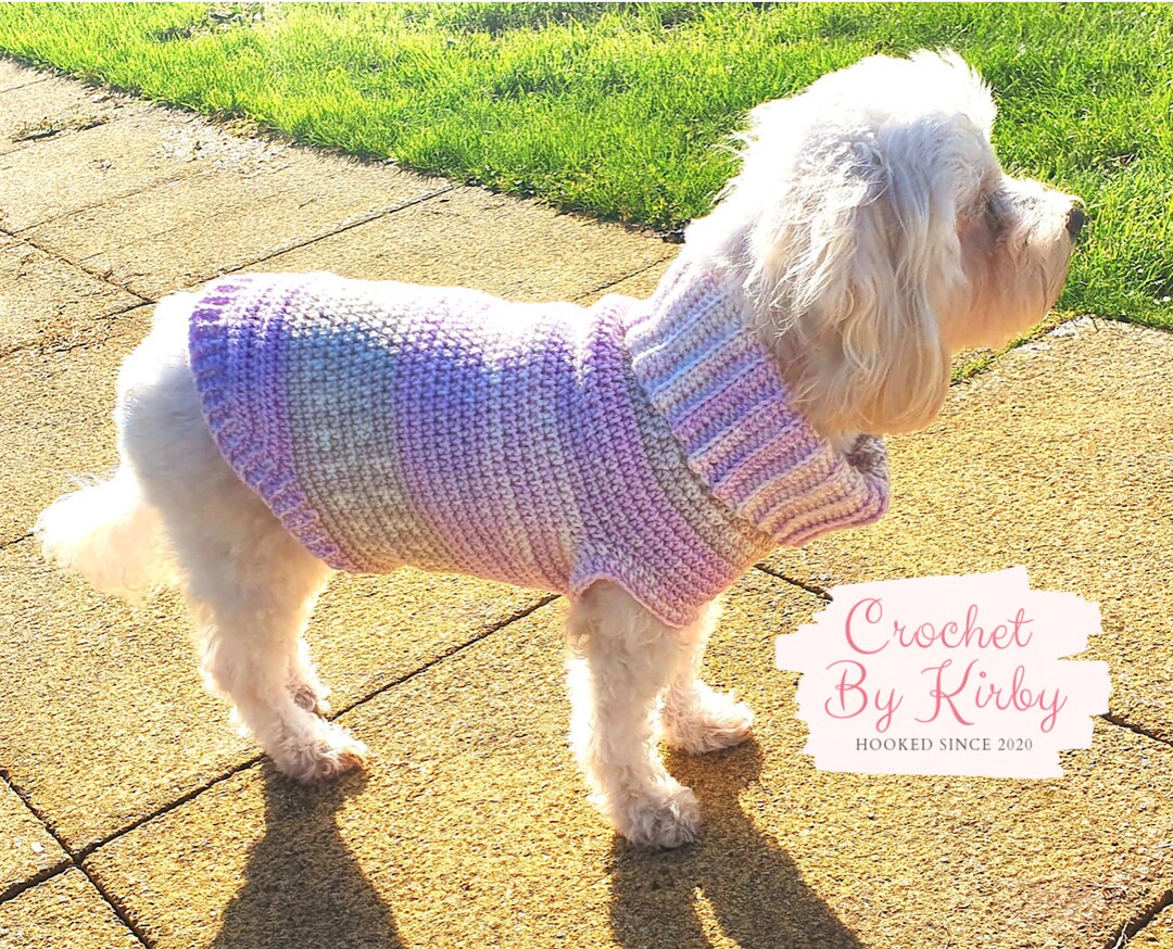 Chunky Dog Sweater Easy Crochet Pattern. Size Small. Beginner. Instant ...