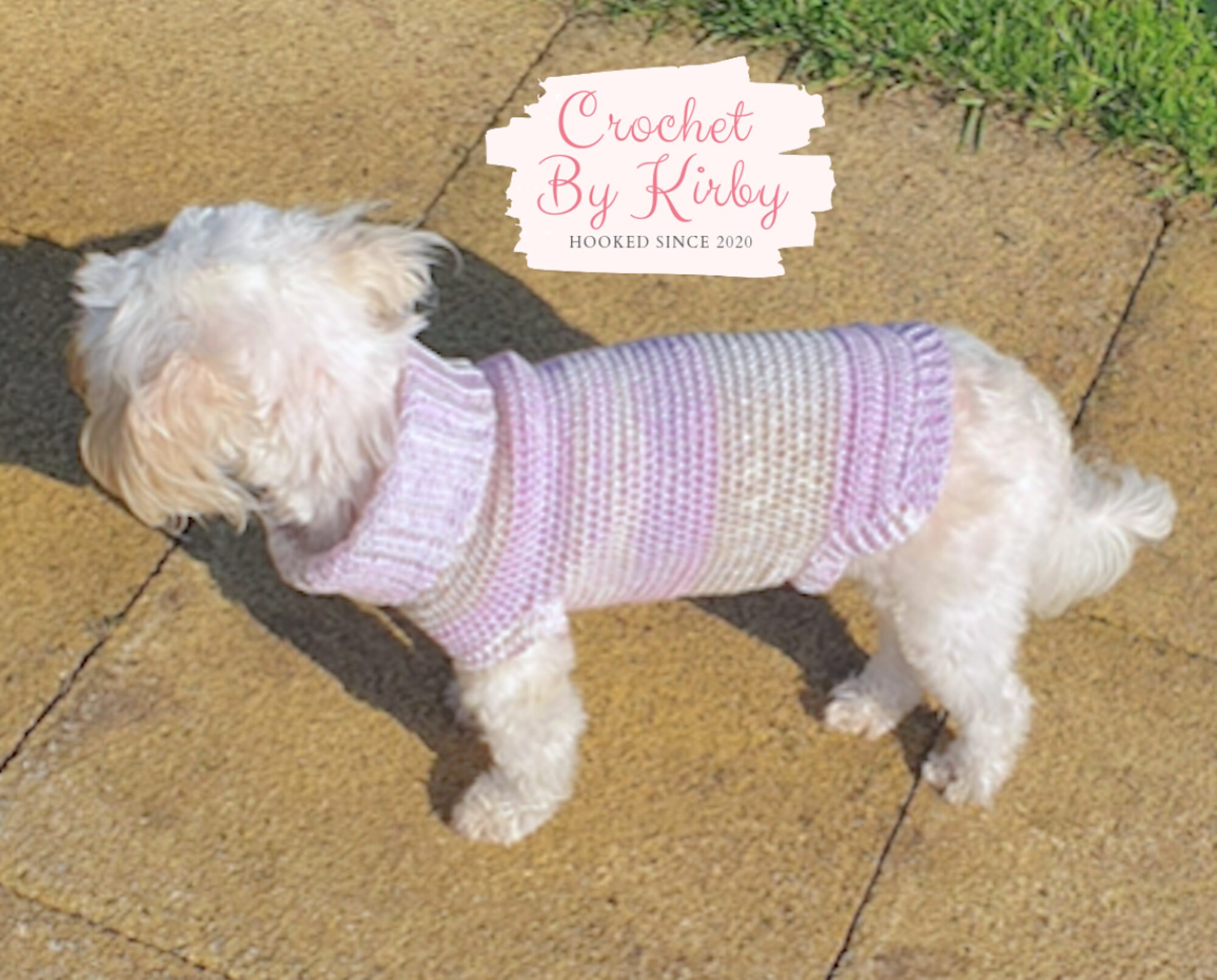 Chunky Dog Sweater Easy Crochet Pattern. Size Small. Beginner. Instant ...