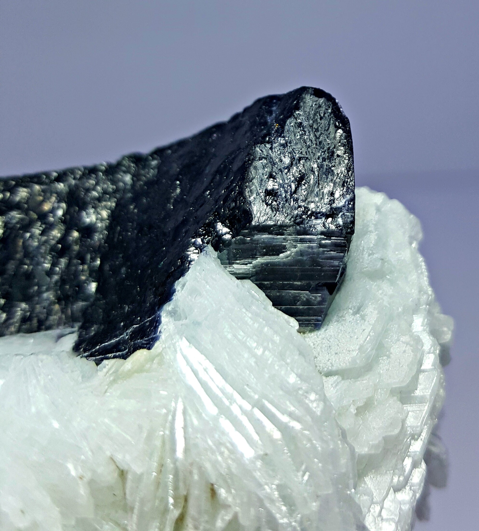 109.0 Gm World Rare Grey Full Terminated Apatite Crystal | Etsy