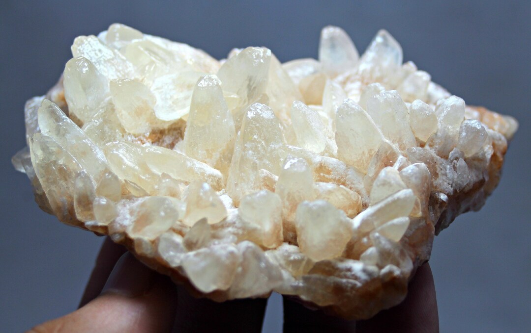 Tiger's Tooth Calcite Crystals Cabinet Specimen - 177.0 Gm Rare Unusual ...