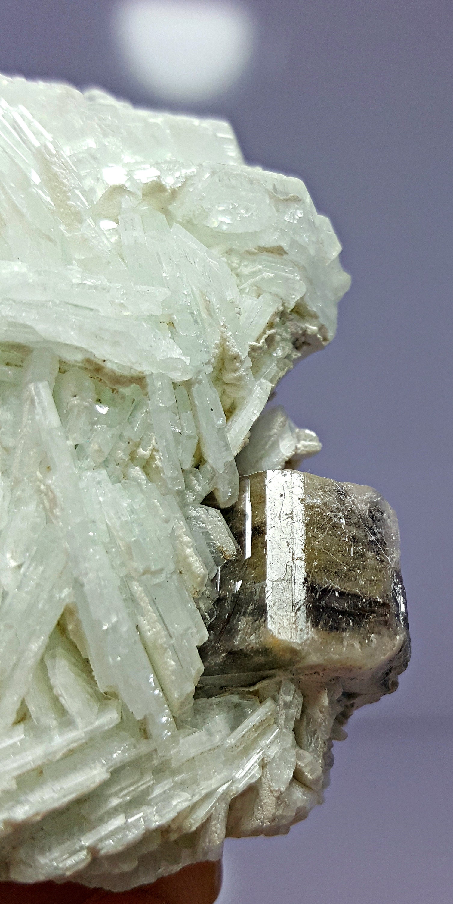 109.0 Gm World Rare Grey Full Terminated Apatite Crystal | Etsy