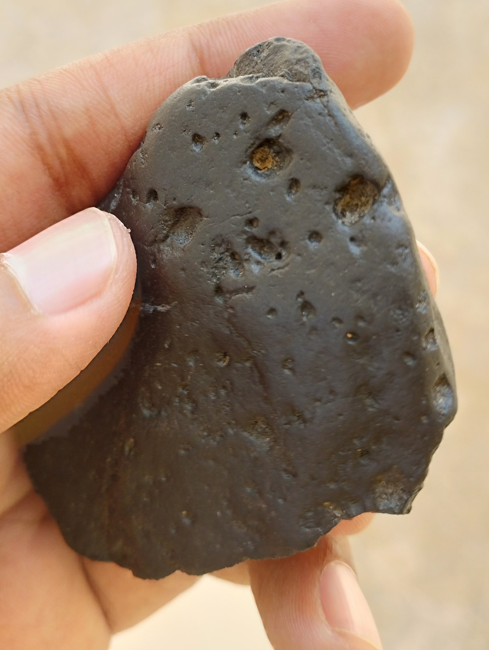 113.0 Gm Genuine Meteorite - Iron Olivine Meteorite With Unknown Metals & Minerals Specimen ...