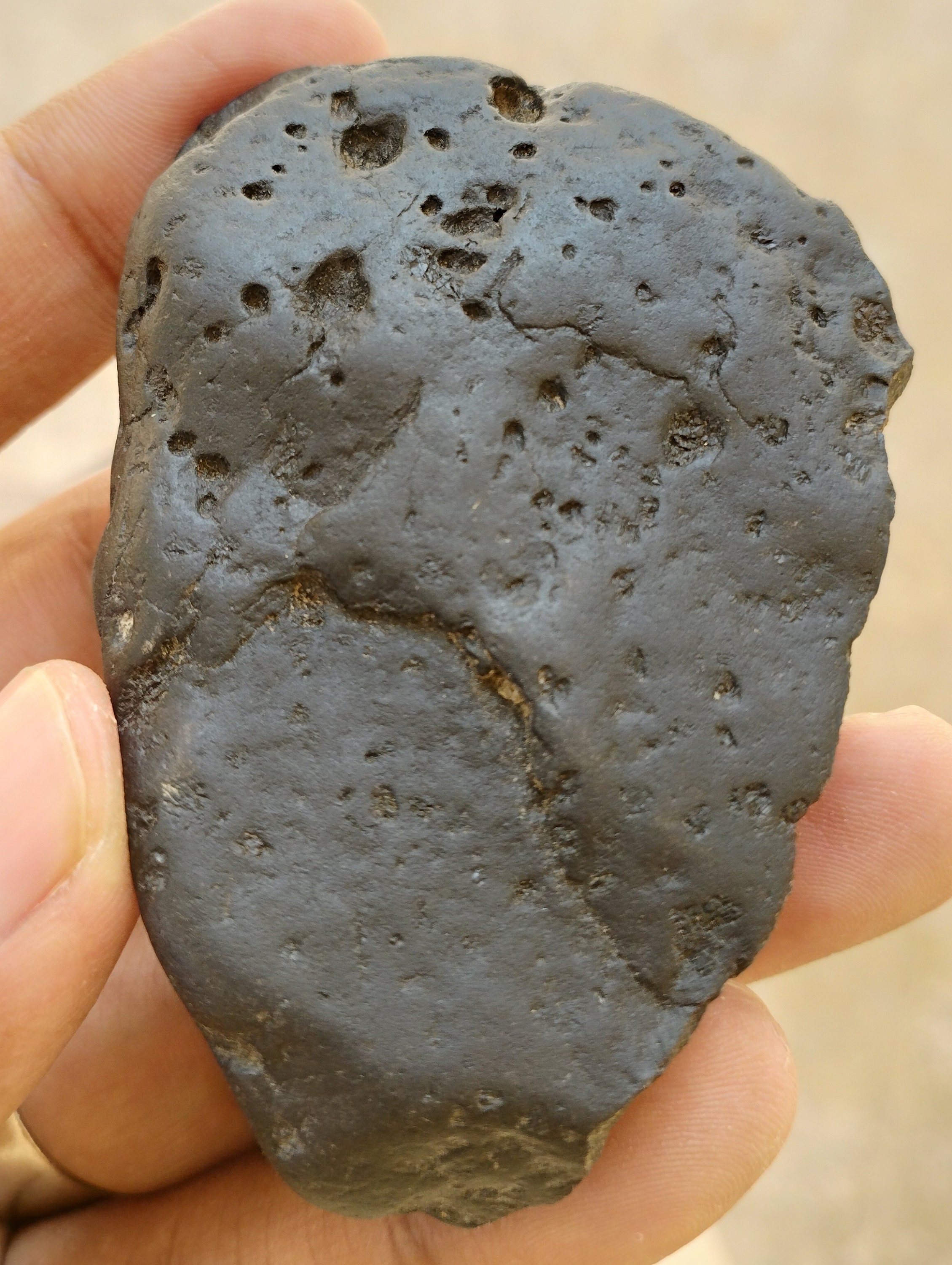 113.0 Gm Genuine Meteorite - Iron Olivine Meteorite With Unknown Metals ...