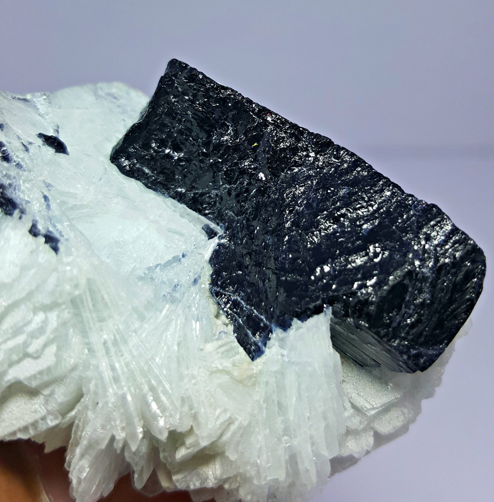 109.0 Gm World Rare Grey Full Terminated Apatite Crystal - Etsy