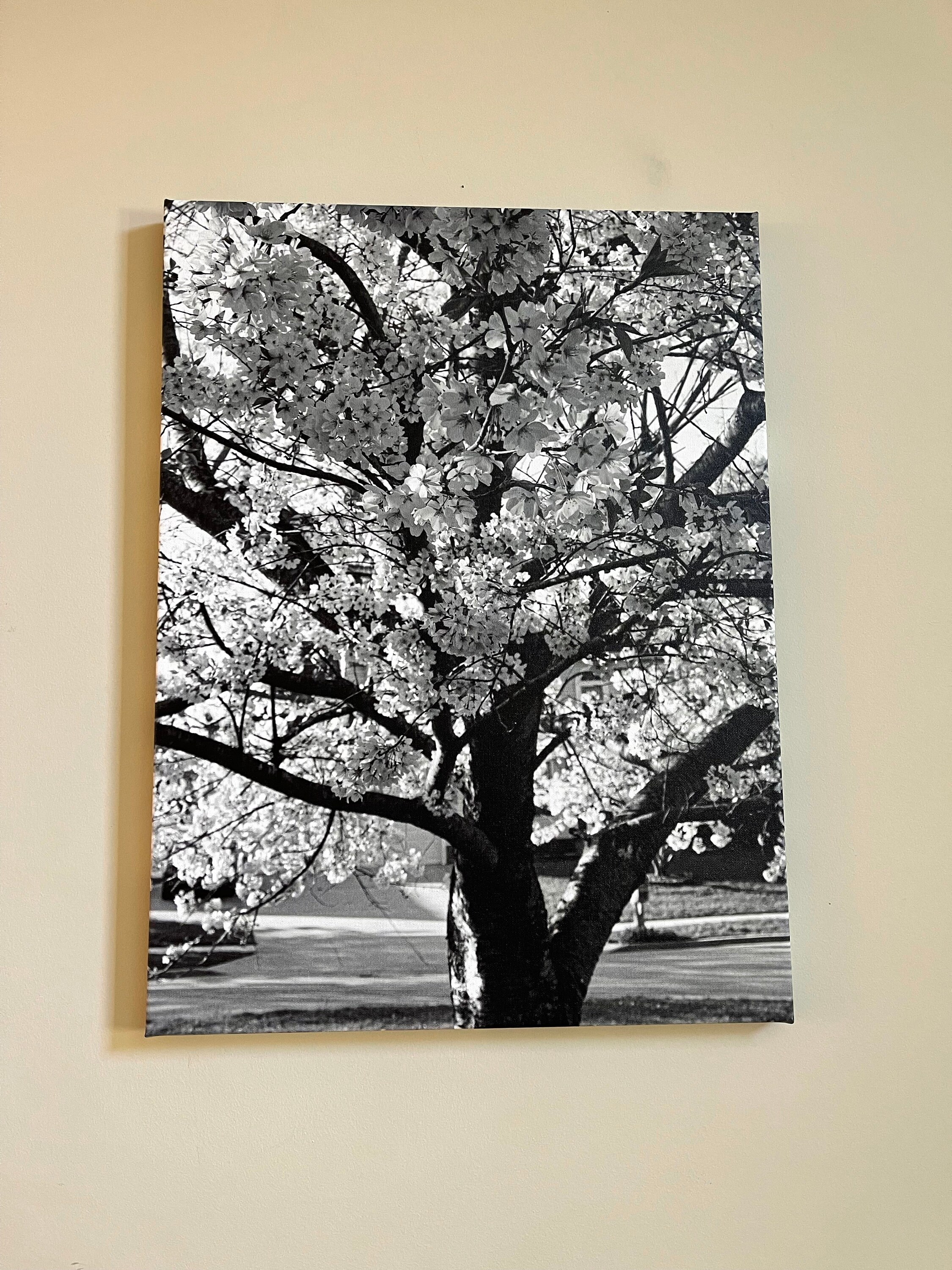 Cherry Blossom, Digital Downloadable Print, Downloadable Print for ...