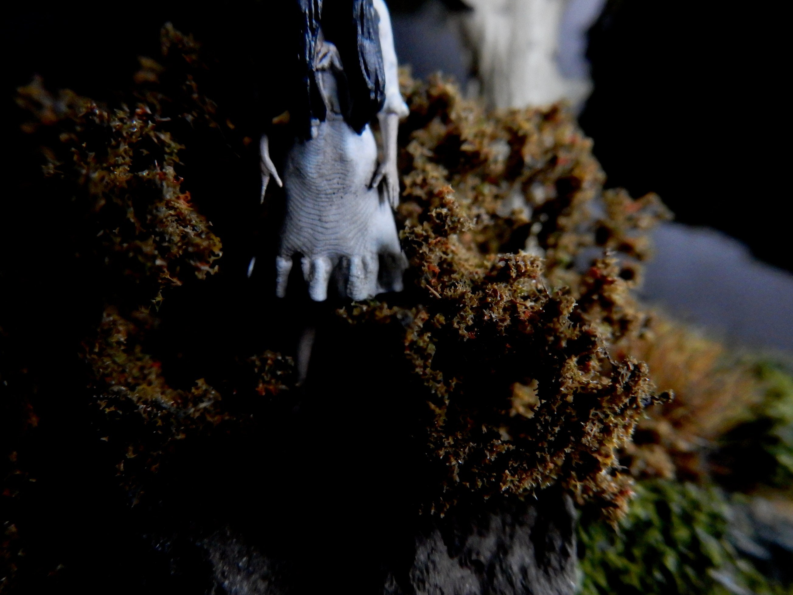 Horror Diorama, Japanese Horror, the Ring, Halloween Diorama, Ghost ...