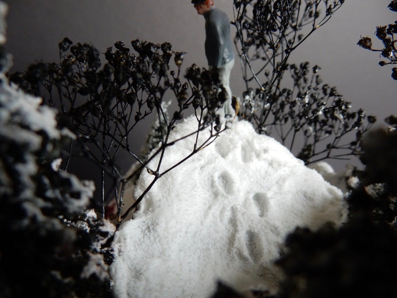 Serial Killer Diorama True Crime Snow Trees Snowy Forest - Etsy
