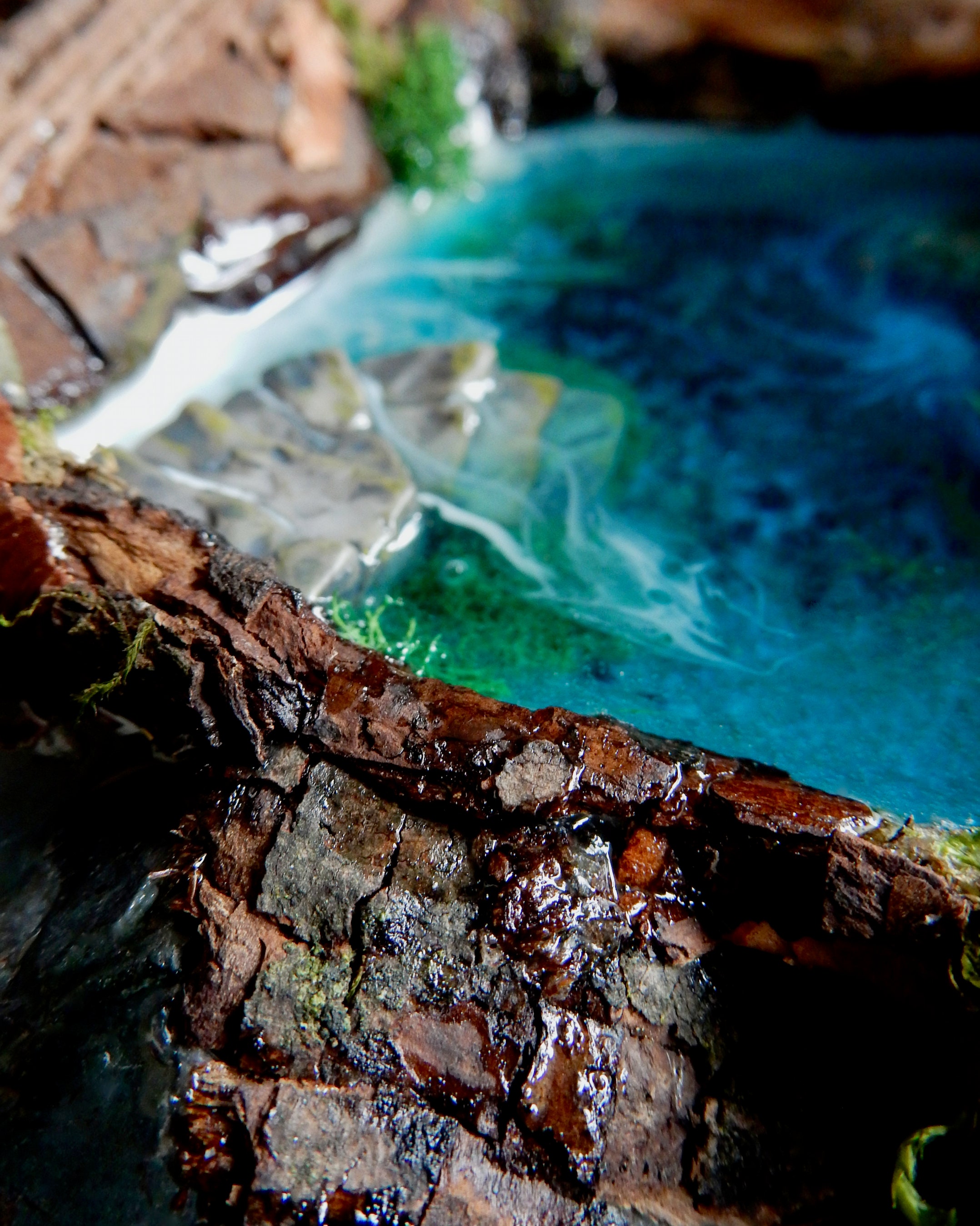 Hot Springs Diorama, Lagoon Diorama, Forest Lake Diorama, Tropical Lake ...